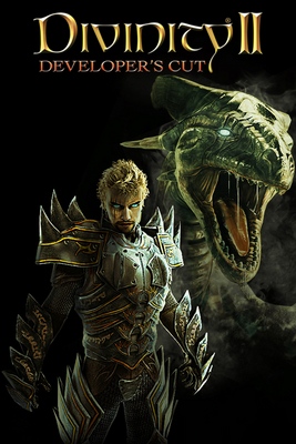 Grid for Divinity II: Developer's Cut by ABH20 - SteamGridDB